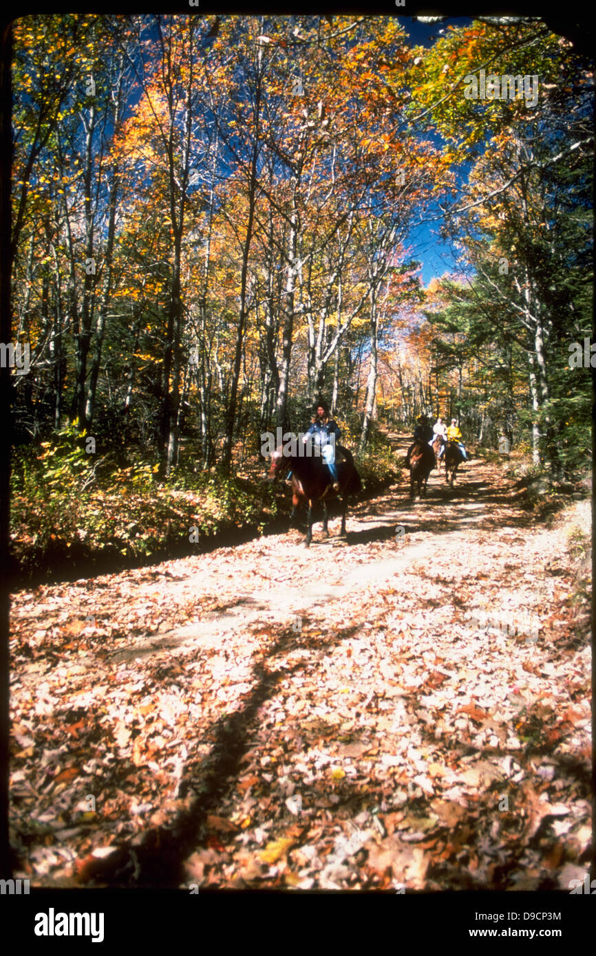 Shenandoah National Park in Virginia is known for its scenic Blue Ridge ...