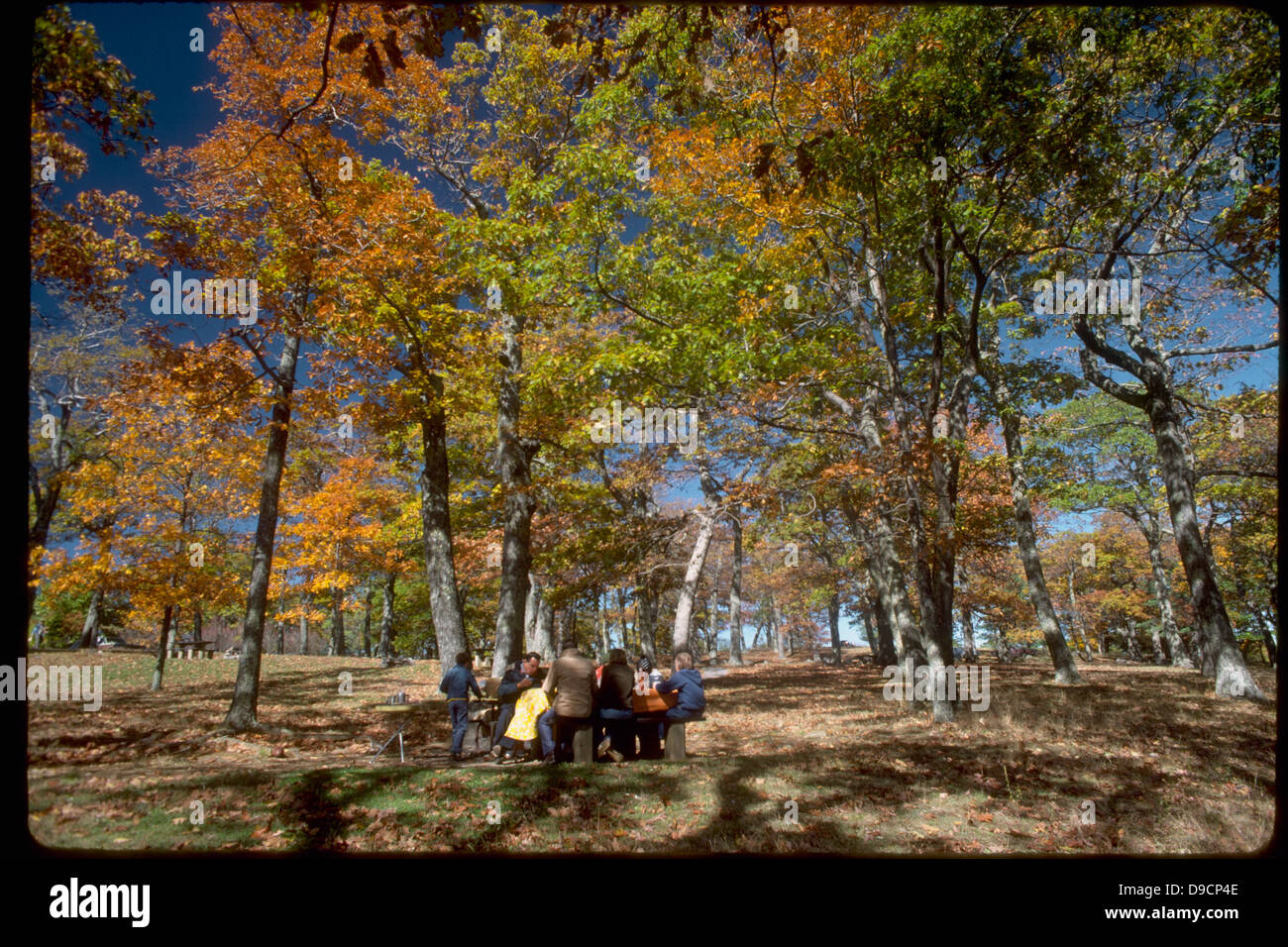 Shenandoah National Park in Virginia offers stunning views of the Blue ...