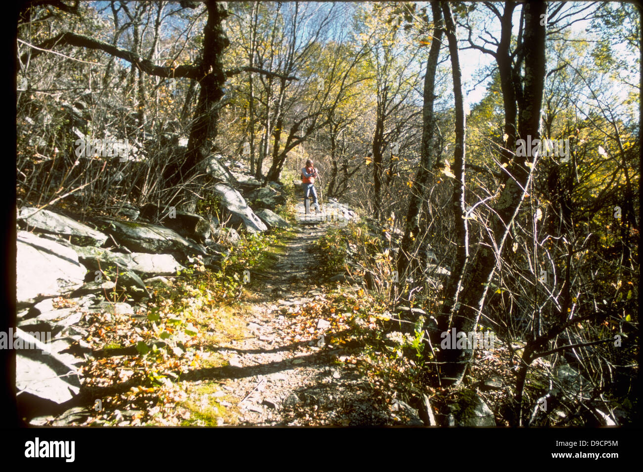 Shenandoah National Park in Virginia features over 200,000 acres of ...