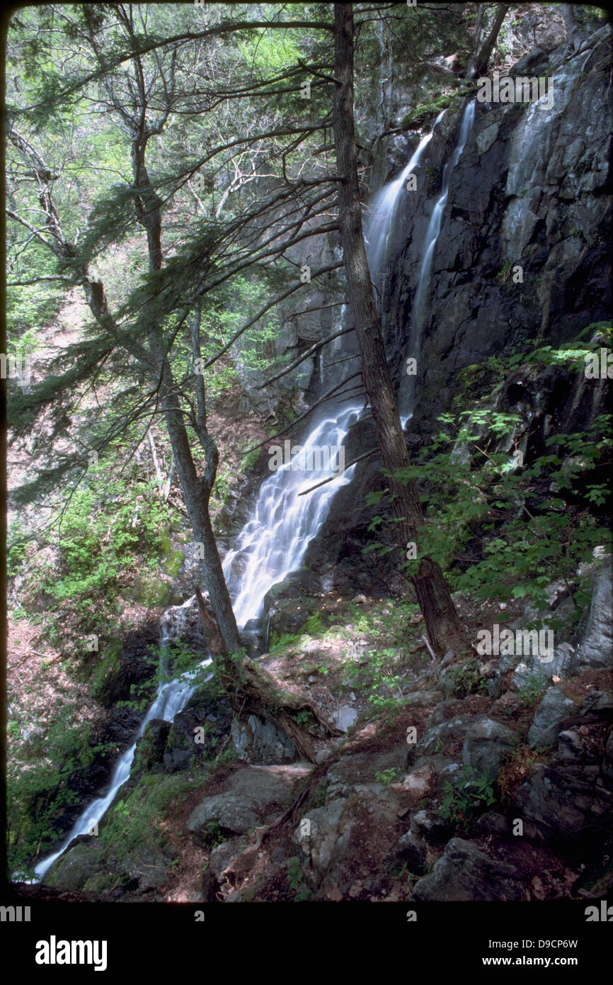 Shenandoah National Park, located in Virginia, offers over 200,000 ...