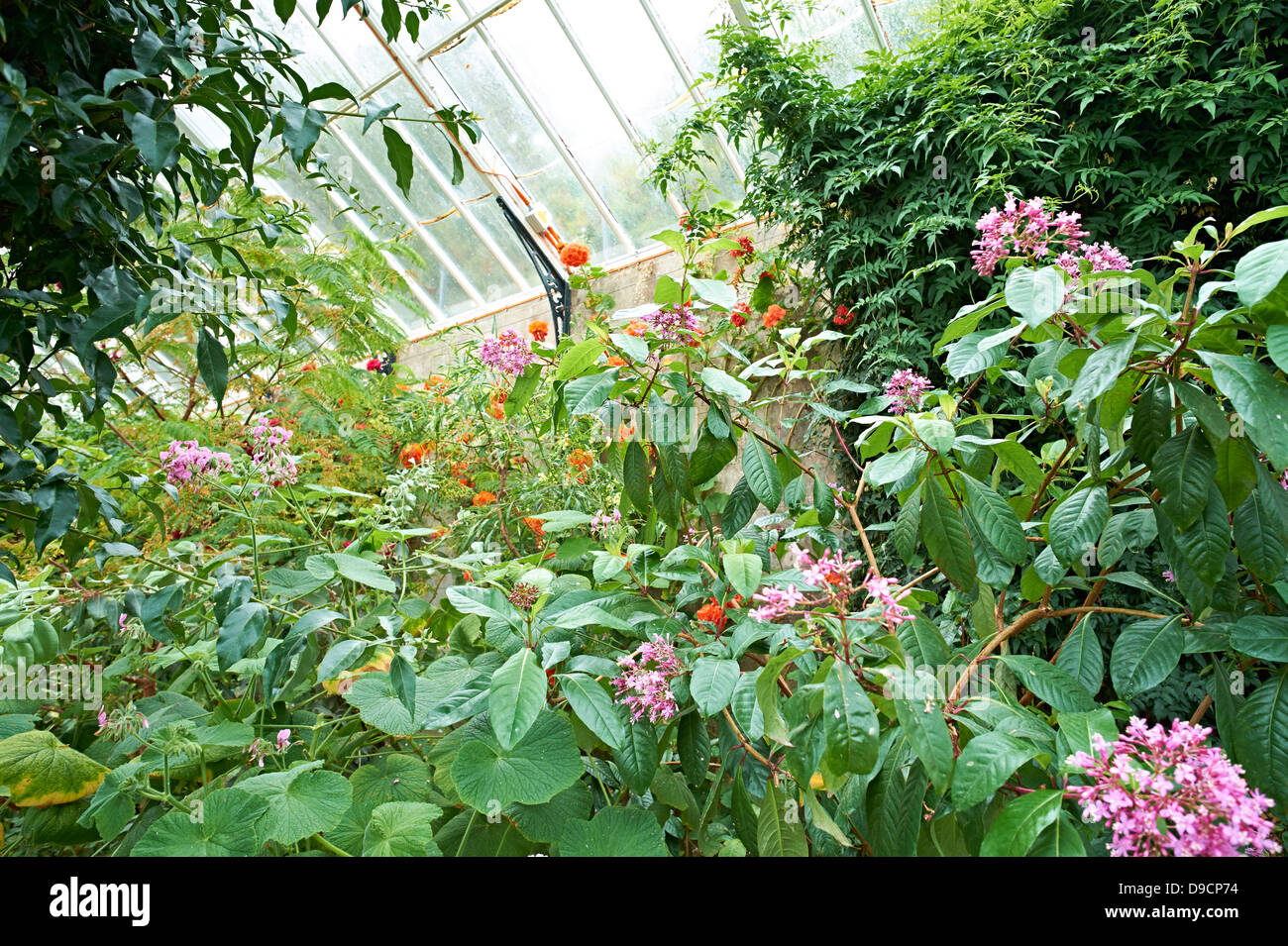 Wallington Hall gardens near Morpeth in Northumberland. National Trust ...