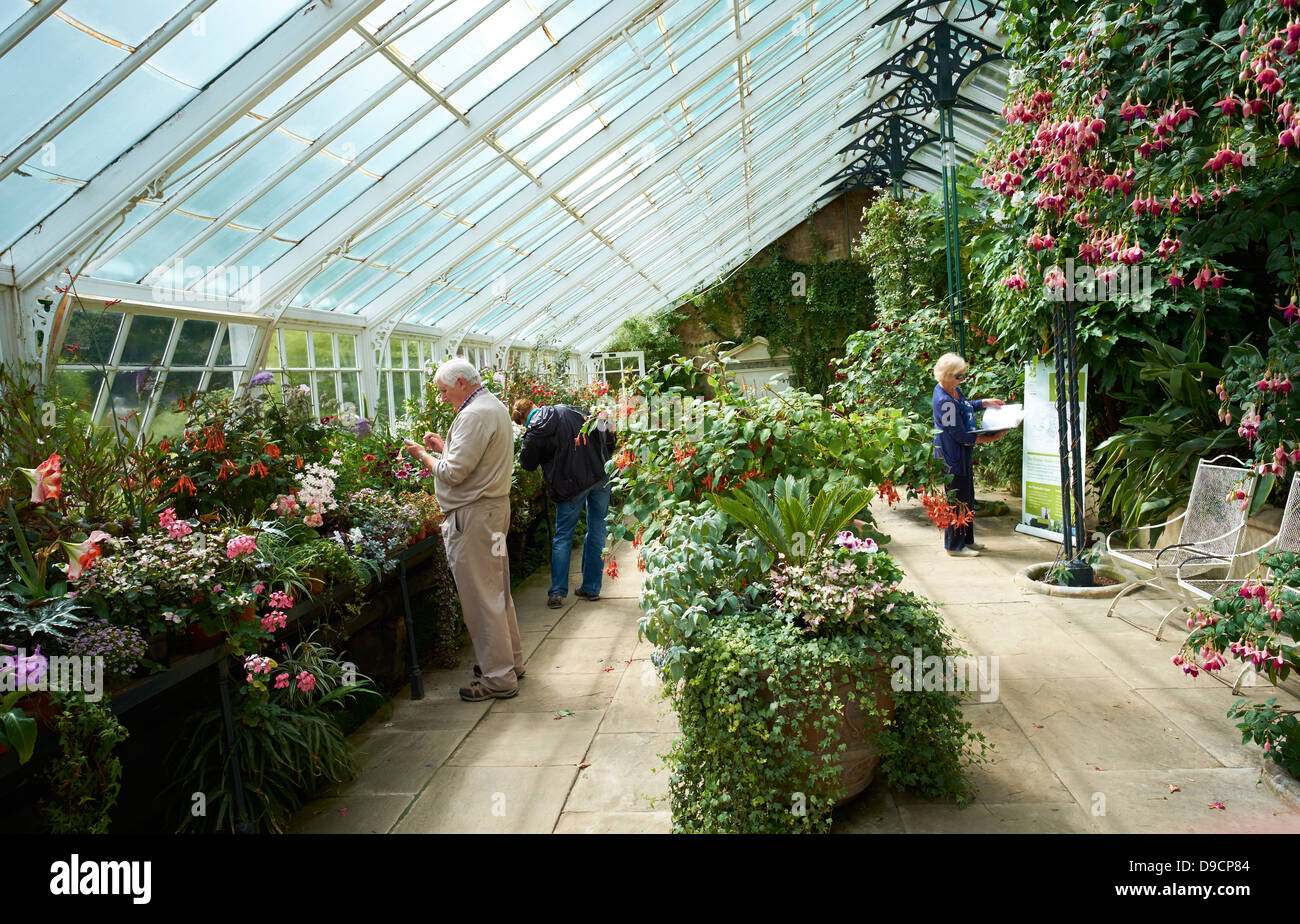 Wallington hall and gardens hi-res stock photography and images - Alamy