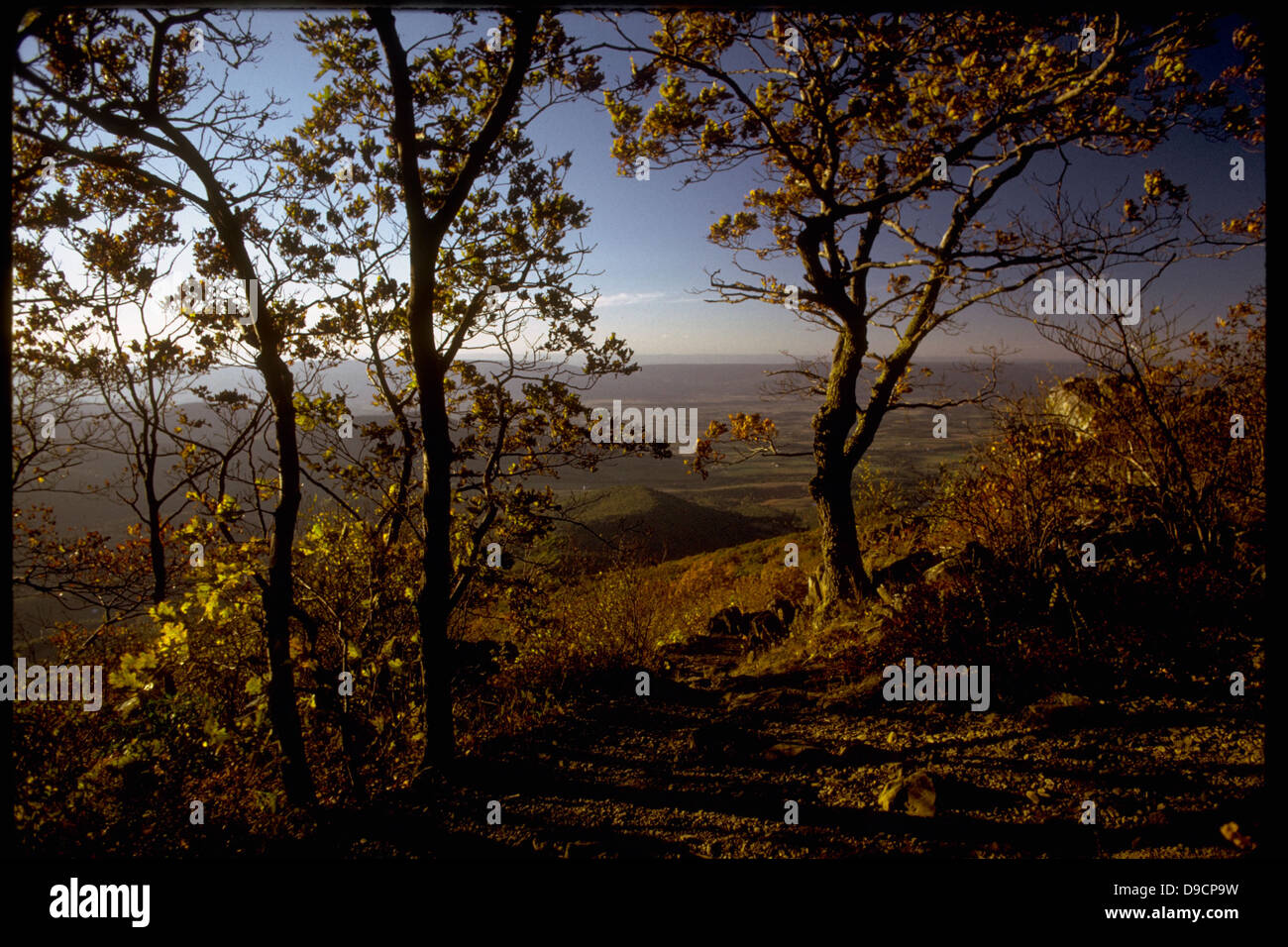 Shenandoah National Park in Virginia features over 200,000 acres of ...