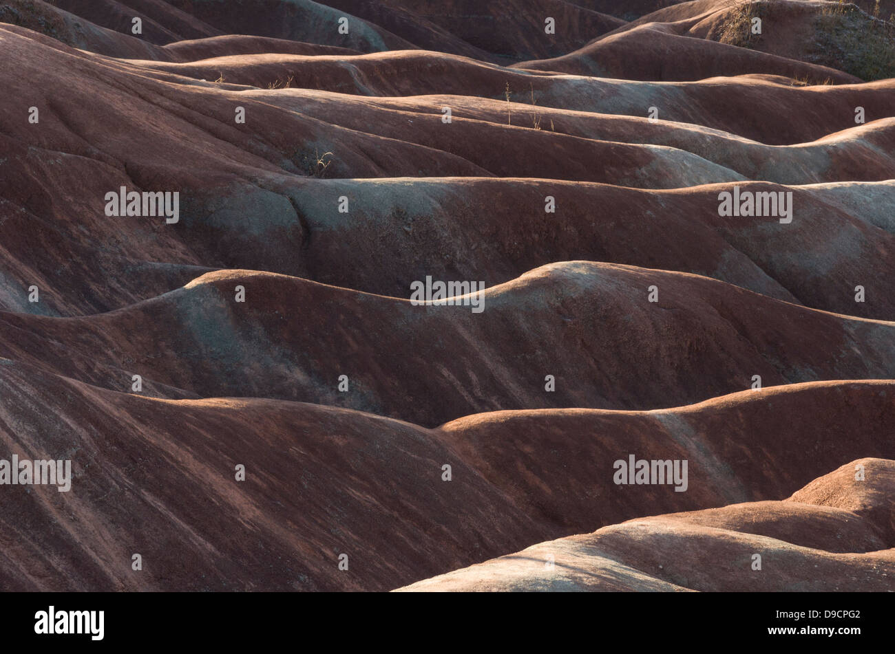 UNESCO World Biosphere Reserve, Cheltenham Badlands, Ontario Stock ...