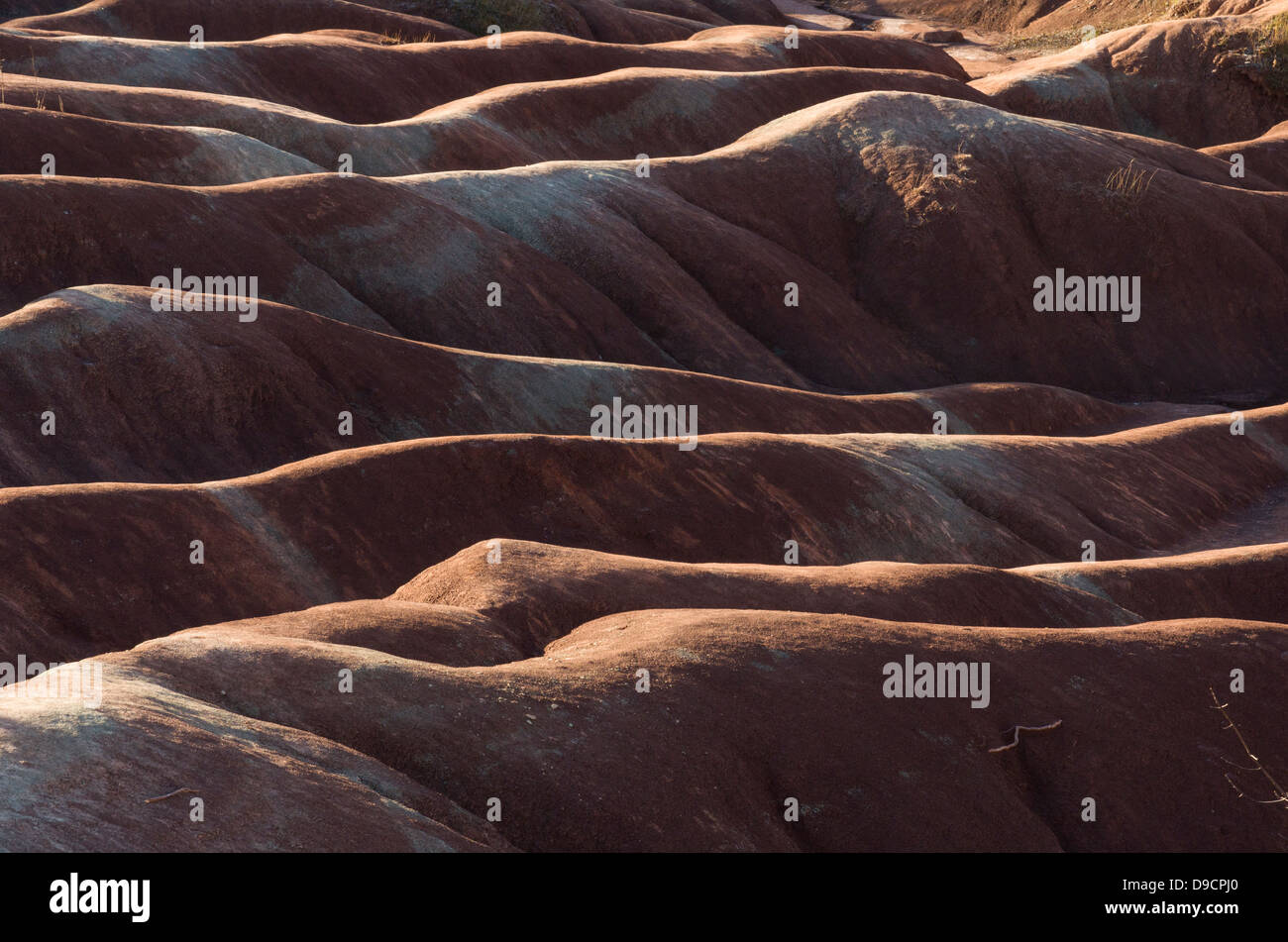 UNESCO World Biosphere Reserve, Cheltenham Badlands, Ontario Stock ...