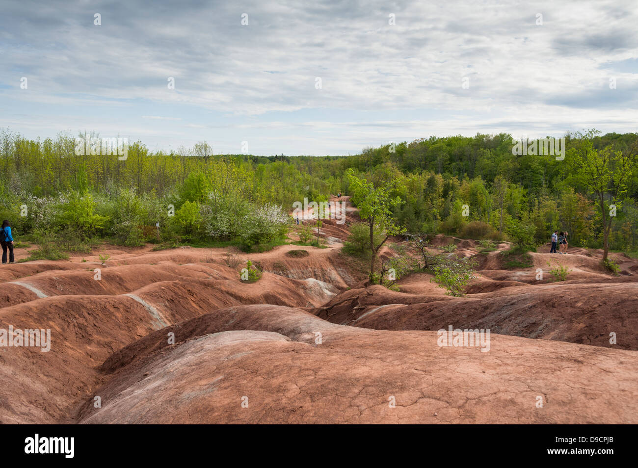 UNESCO World Biosphere Reserve, Cheltenham Badlands, Ontario Stock ...
