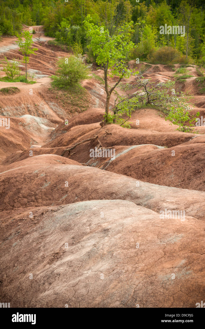 UNESCO World Biosphere Reserve, Cheltenham Badlands, Ontario Stock ...