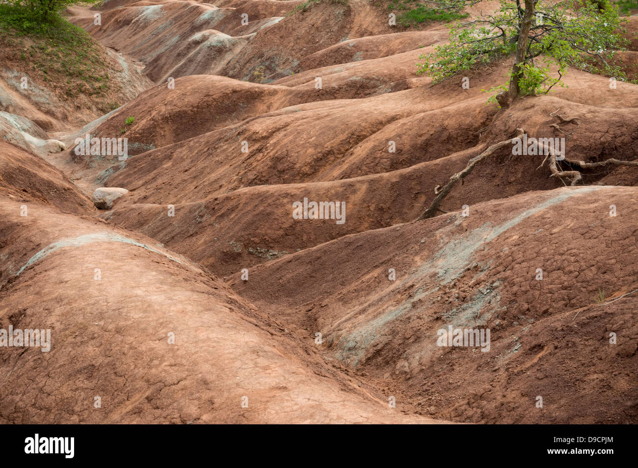 UNESCO World Biosphere Reserve, Cheltenham Badlands, Ontario Stock ...