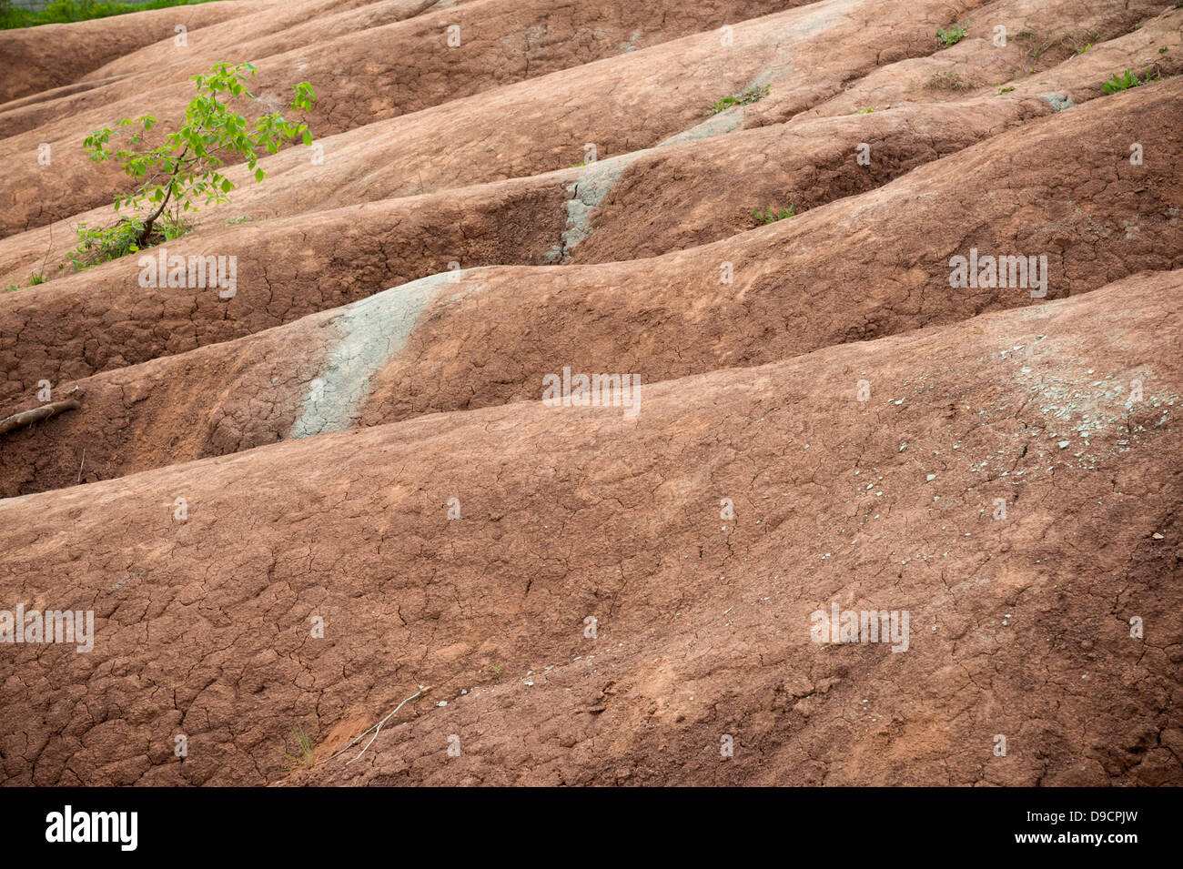 UNESCO World Biosphere Reserve, Cheltenham Badlands, Ontario Stock ...