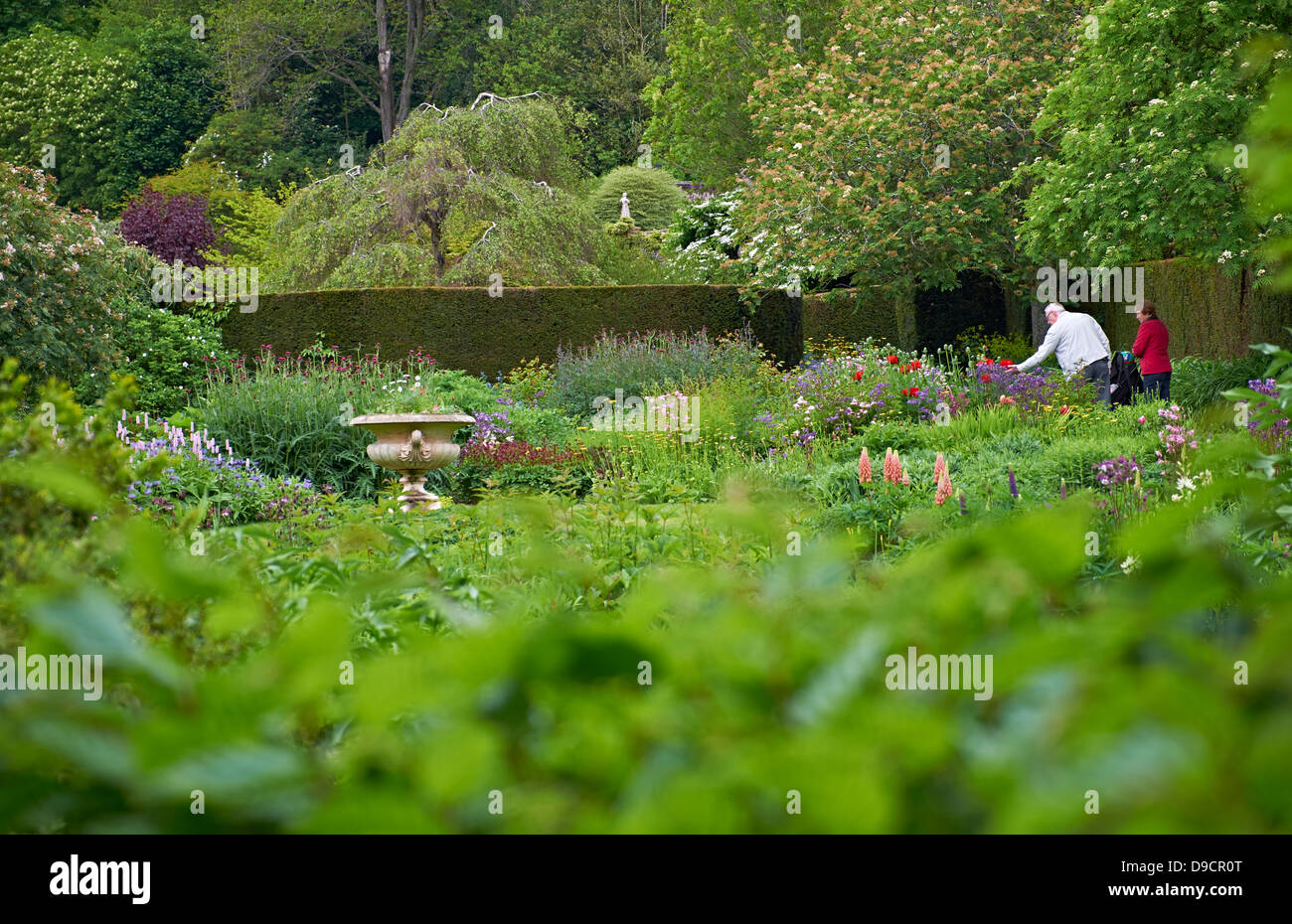 Tourists walking through the walled garden at Wallington Hall in ...