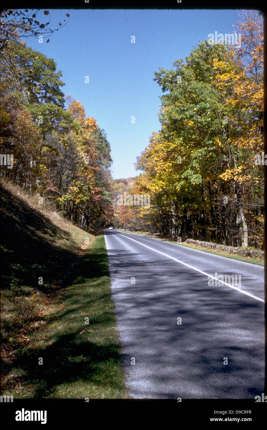Shenandoah National Park in Virginia features over 200,000 acres of ...