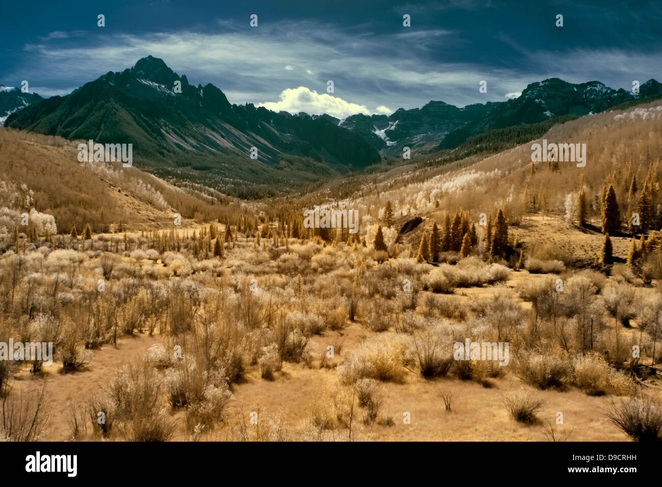 Dallas Divide is high mountain pass in United States of Colorado Stock ...