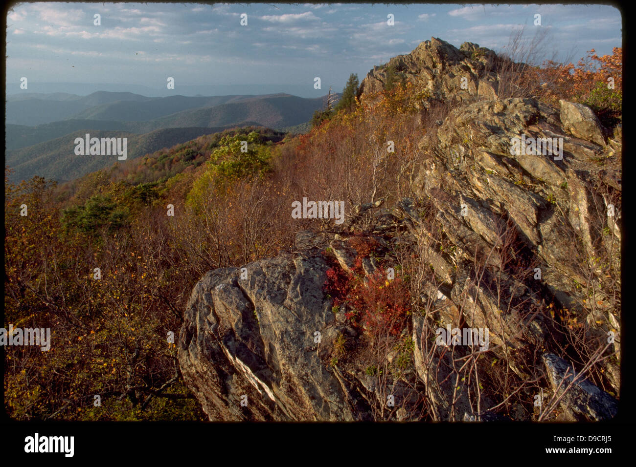 Shenandoah National Park in Virginia features over 200,000 acres of ...