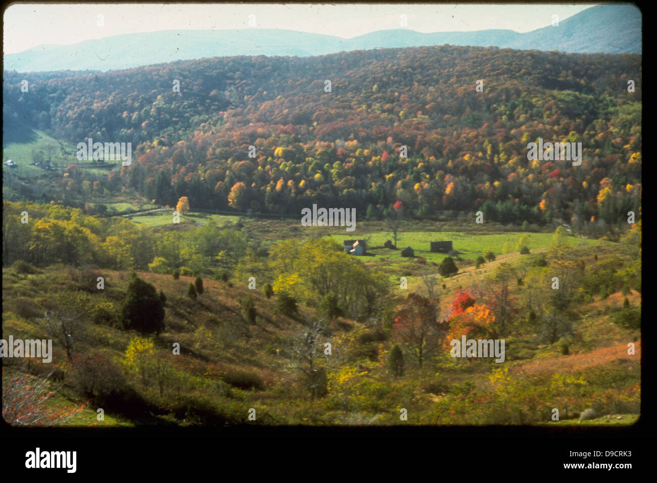 Shenandoah National Park in Virginia is renowned for its biodiversity ...