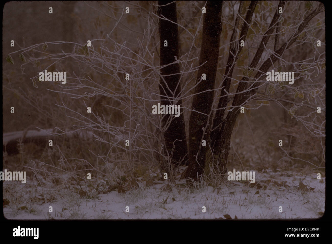 Shenandoah National Park in Virginia features the scenic Skyline Drive ...