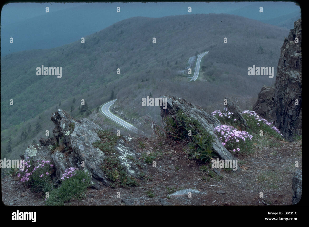 Shenandoah National Park in Virginia offers over 200,000 acres of ...