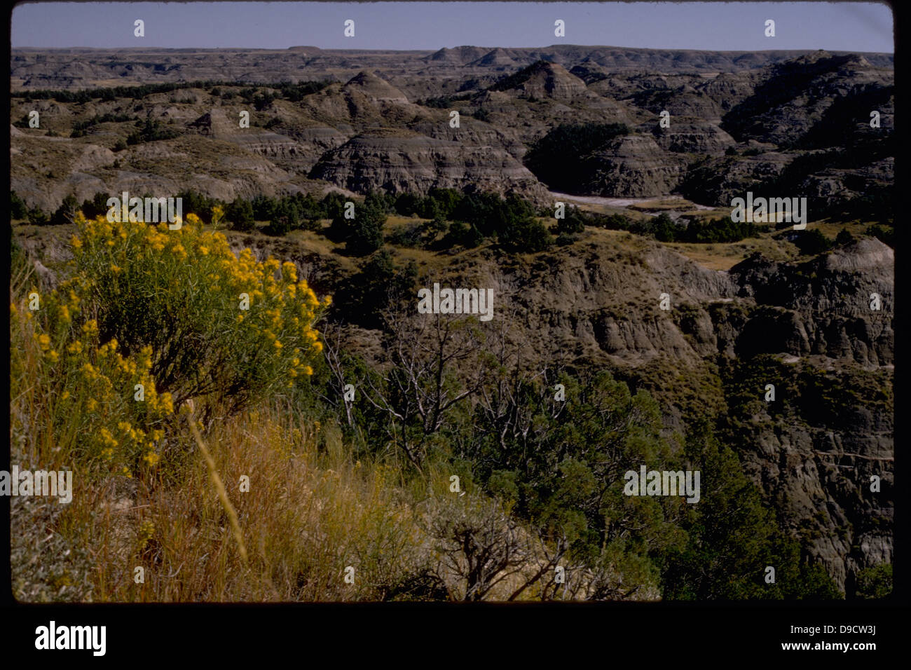 Theodore Roosevelt National Park in North Dakota preserves the ...