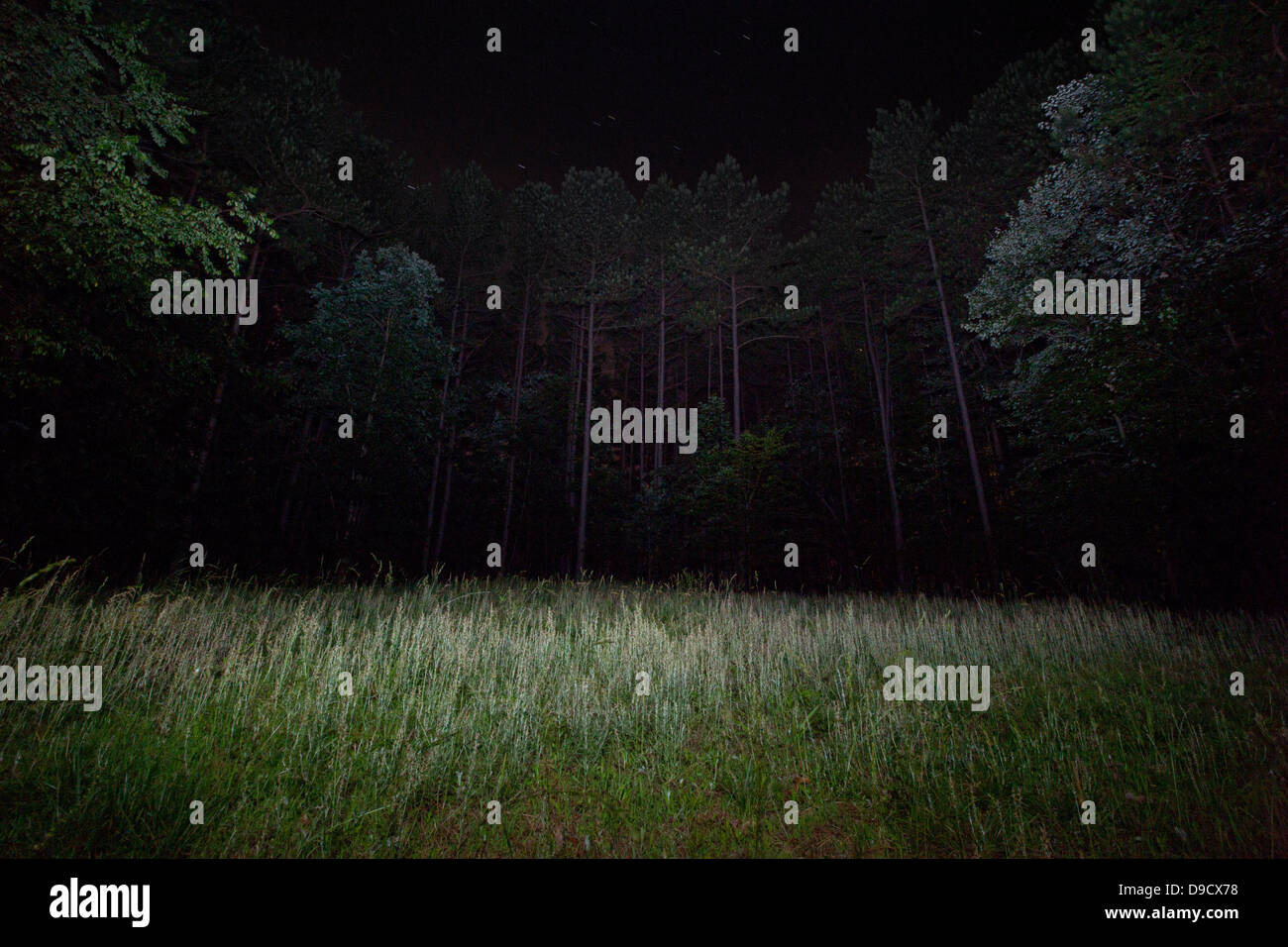 A long exposure with flashlight light painting of a field at night ...