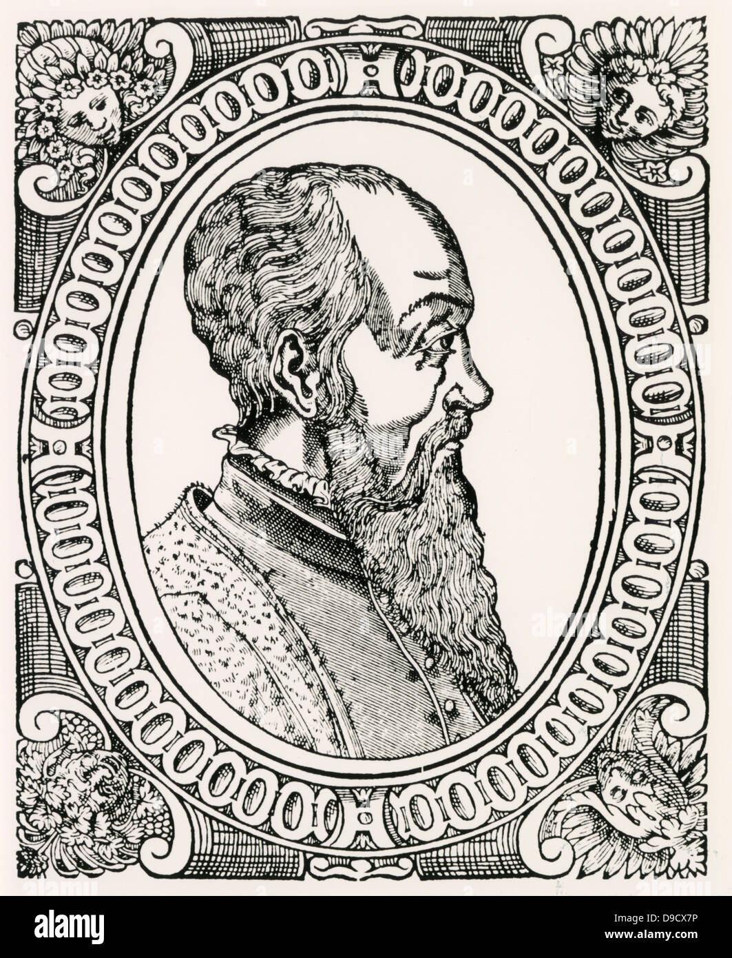 Marot hi-res stock photography and images - Alamy