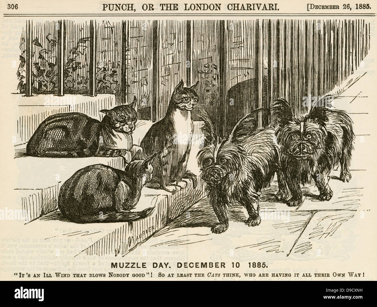 History medicine rabies hi-res stock photography and images - Alamy