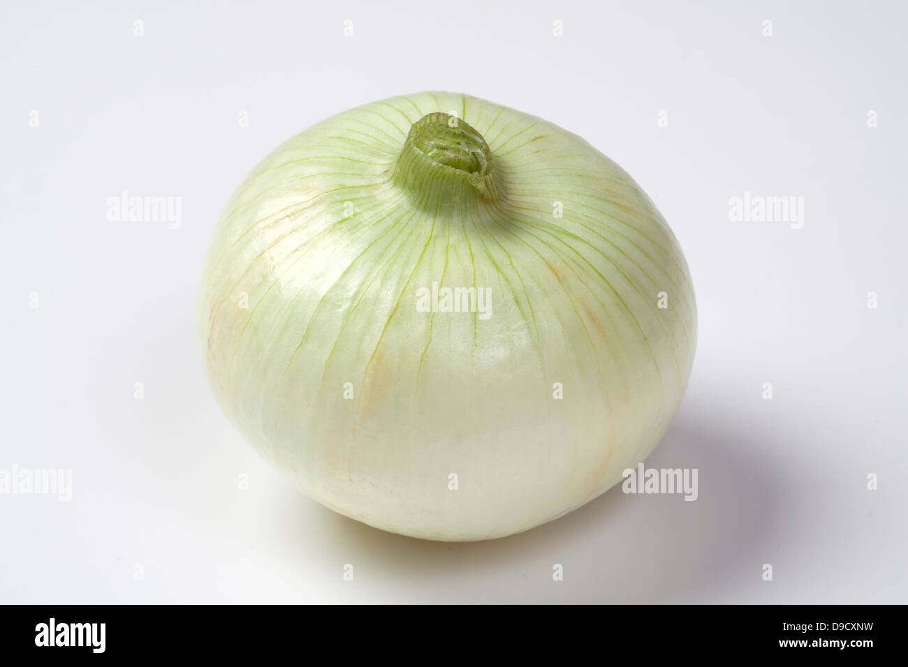 Spring _onion hi-res stock photography and images - Alamy
