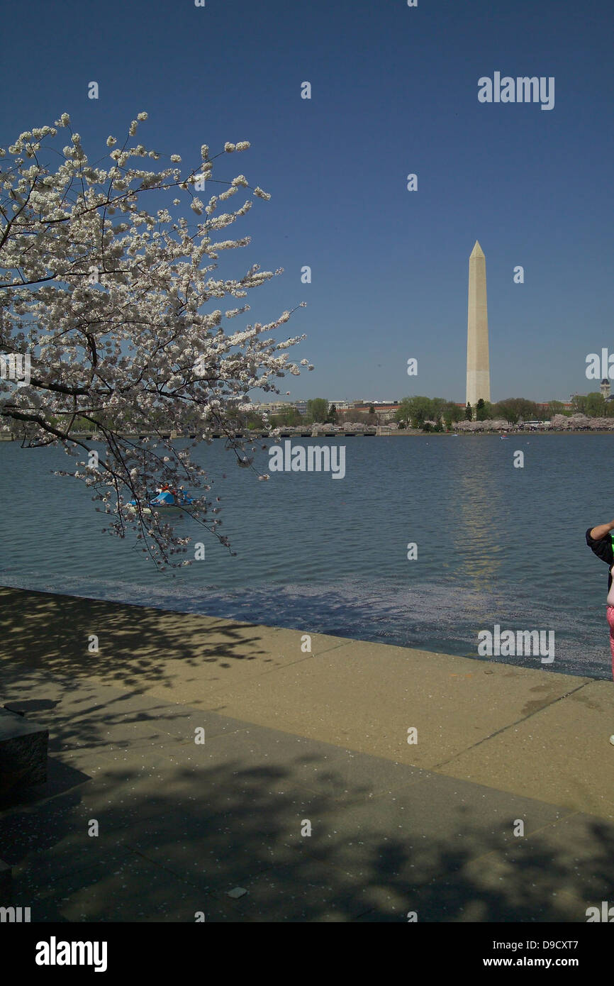 Washington monument obelisk on the national mall in washington hi-res ...