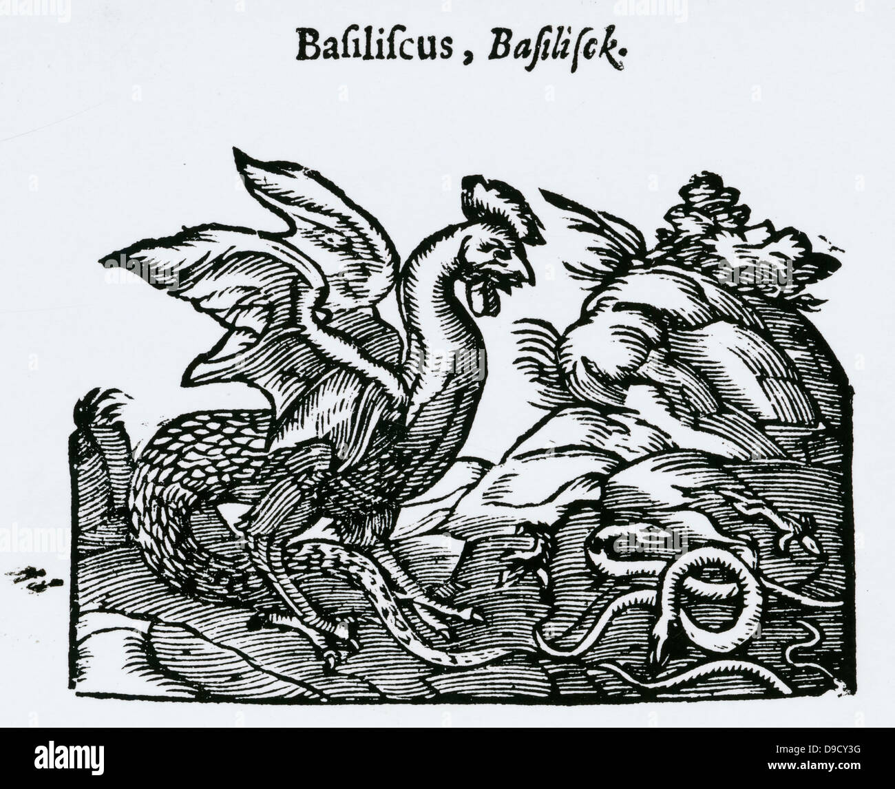 Three Sorts of Serpents a sonnet by Michael Drayton – PCTELA News