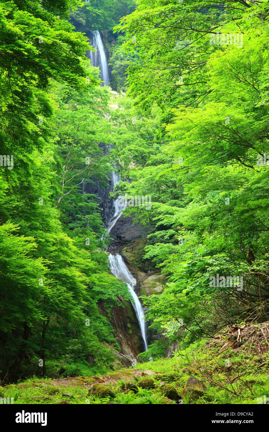 Saruo waterfall hi-res stock photography and images - Alamy