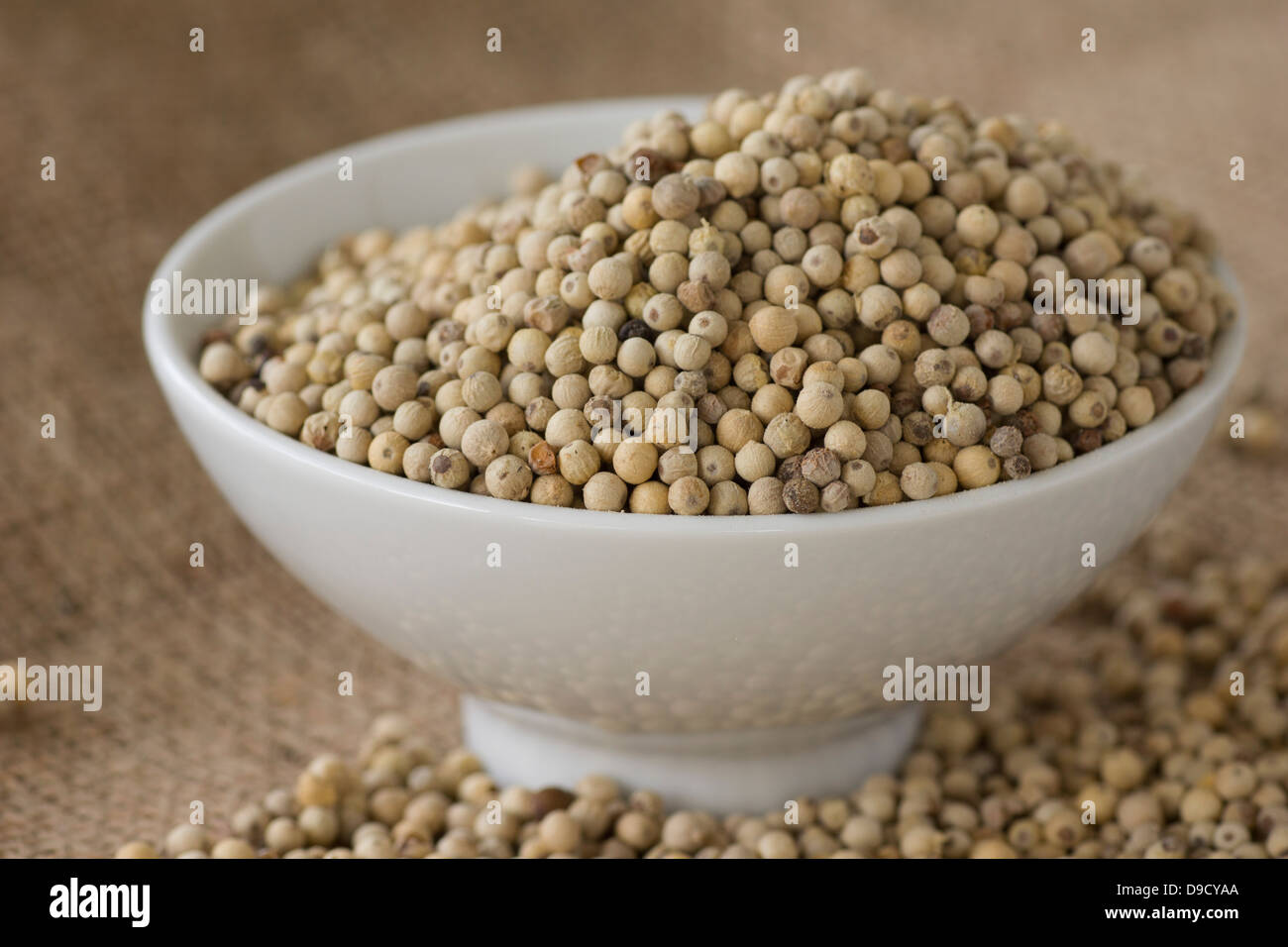 Sarawak White pepper Stock Photo - Alamy
