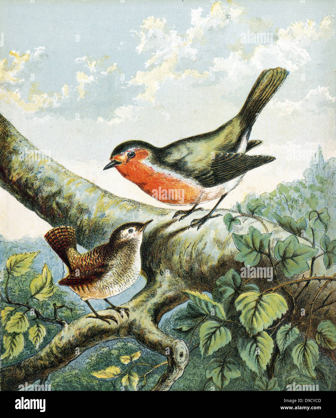 Cock Robin singing to Jenny Wren, illustration for the early 19th ...