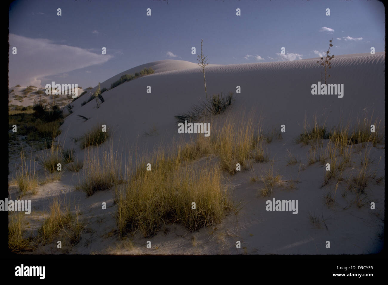 White Sands National Monument, located in New Mexico, is famous for its ...