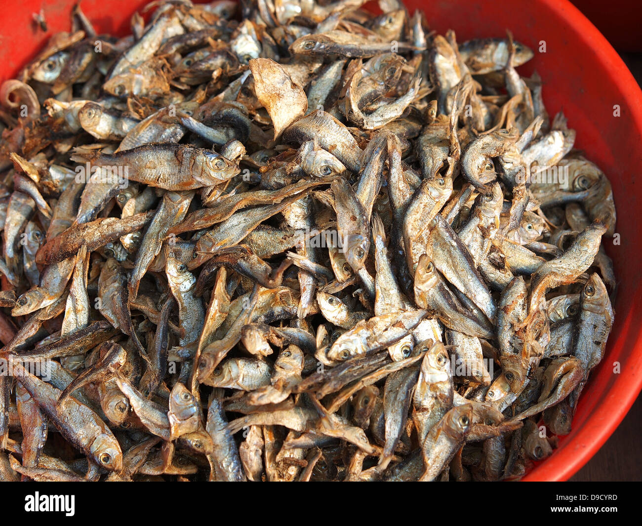 Open ocean fish hi-res stock photography and images - Alamy