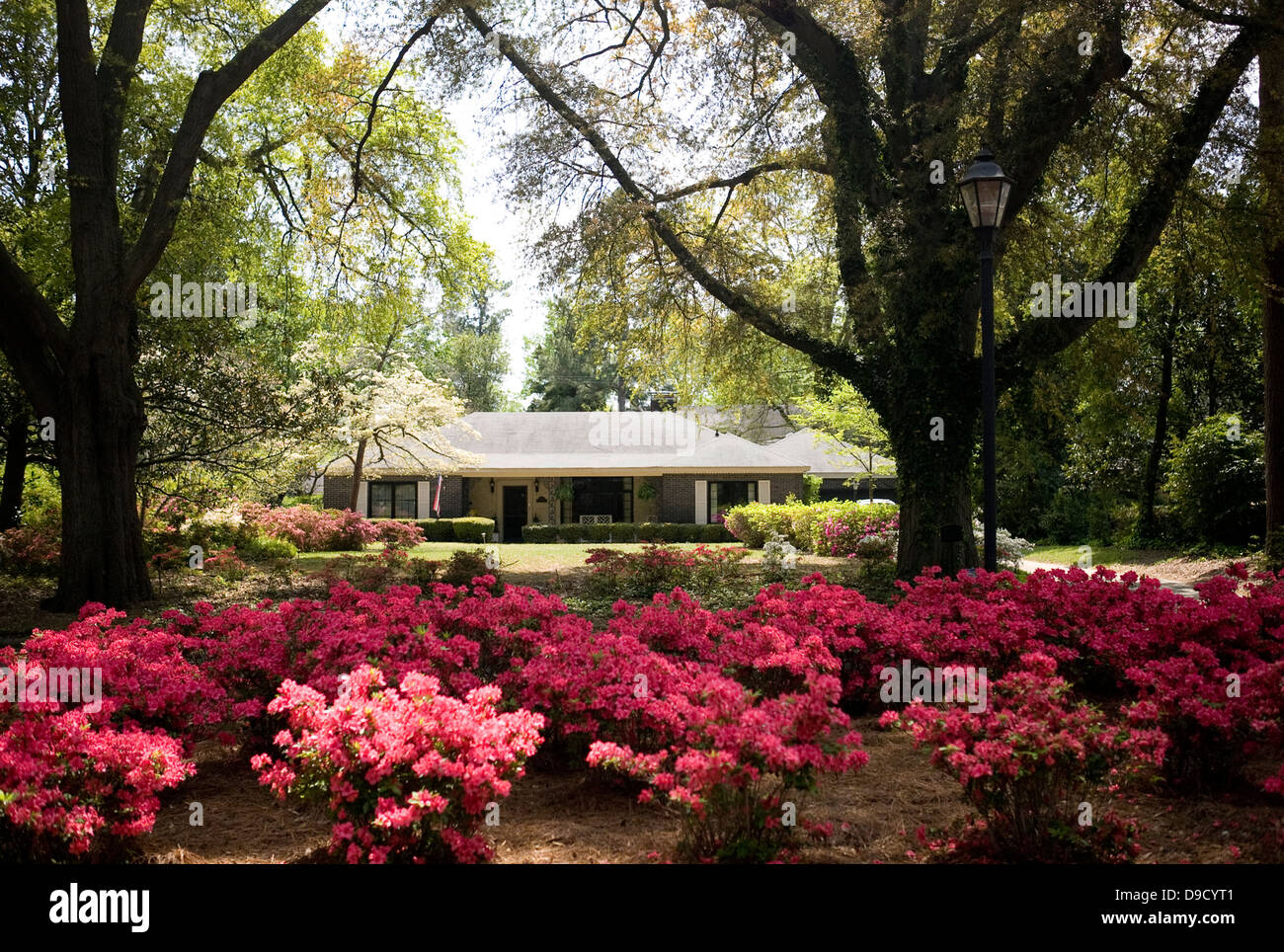 Red Flower House Stock Photo - Alamy