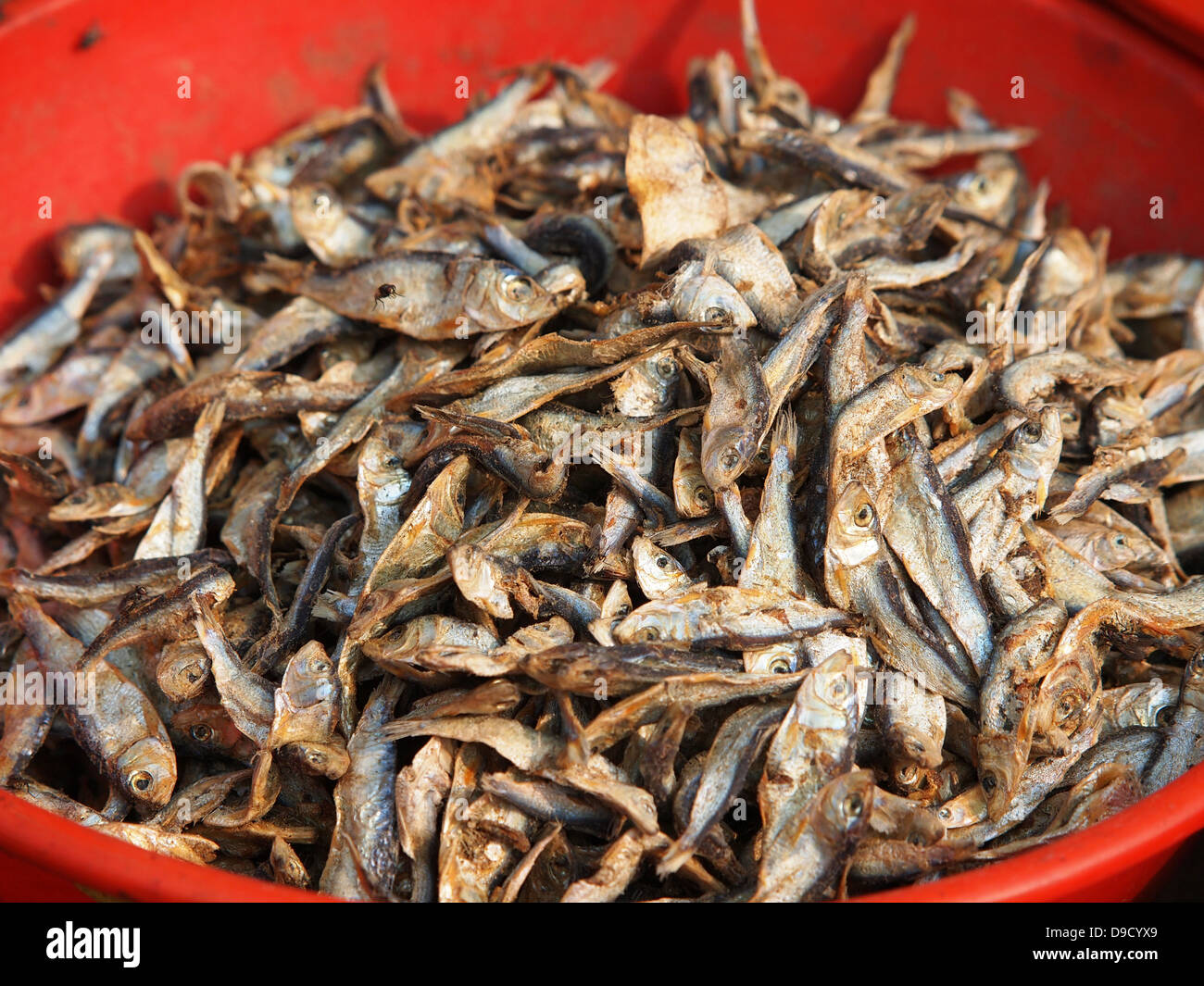 Dry fish on open market hi-res stock photography and images - Alamy