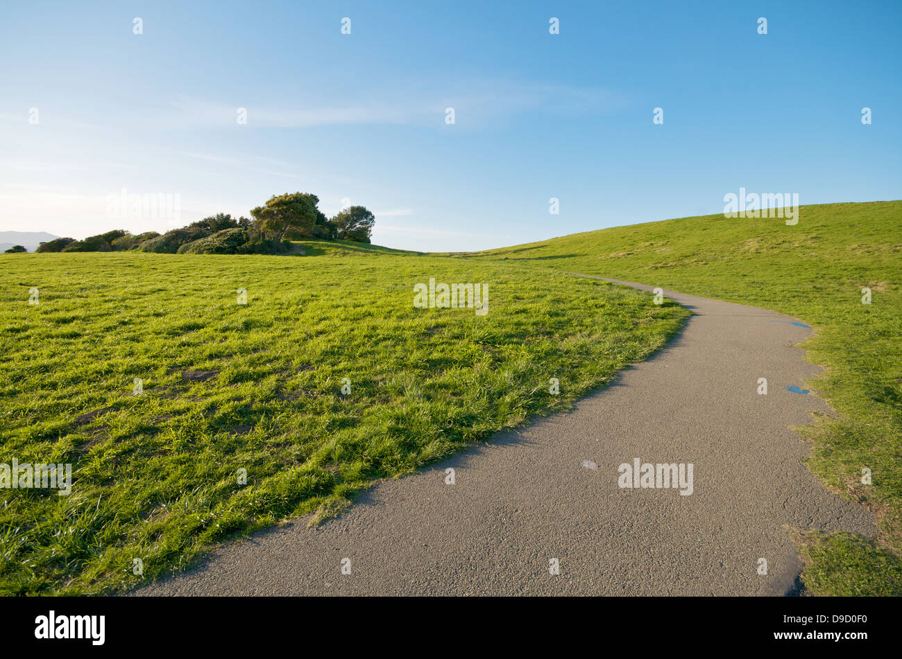 Berkeley california trees hi-res stock photography and images - Alamy