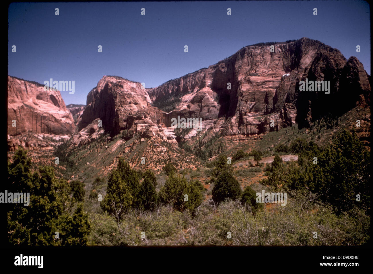 Zion National Park in Utah is known for its towering sandstone cliffs ...