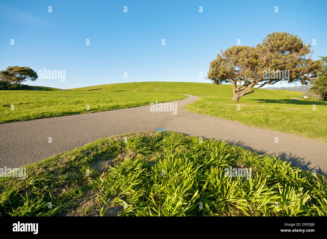 Green Grass Landscape and blue sky at Berkeley Marina in the East Bay ...