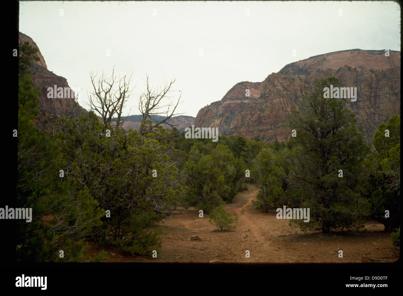 Zion National Park in Utah is known for its towering sandstone cliffs ...