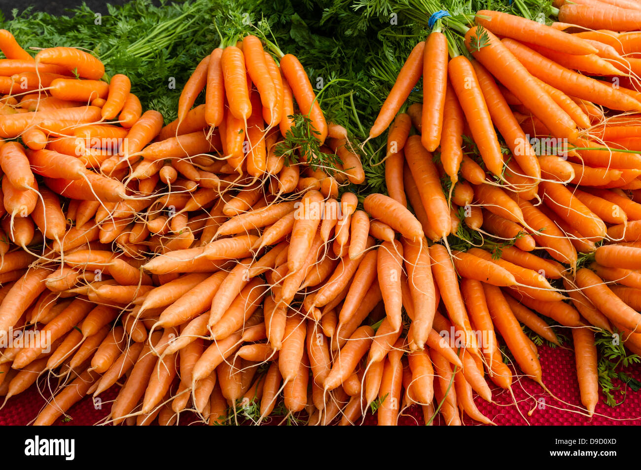 Carrots on display at the farmer's market Stock Photo - Alamy