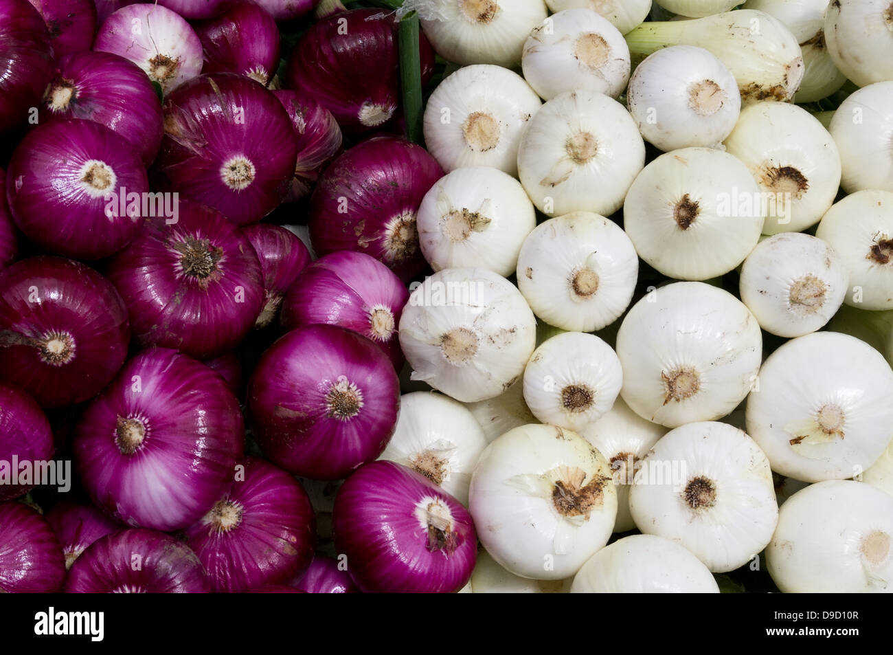 White onions on display hi-res stock photography and images - Alamy