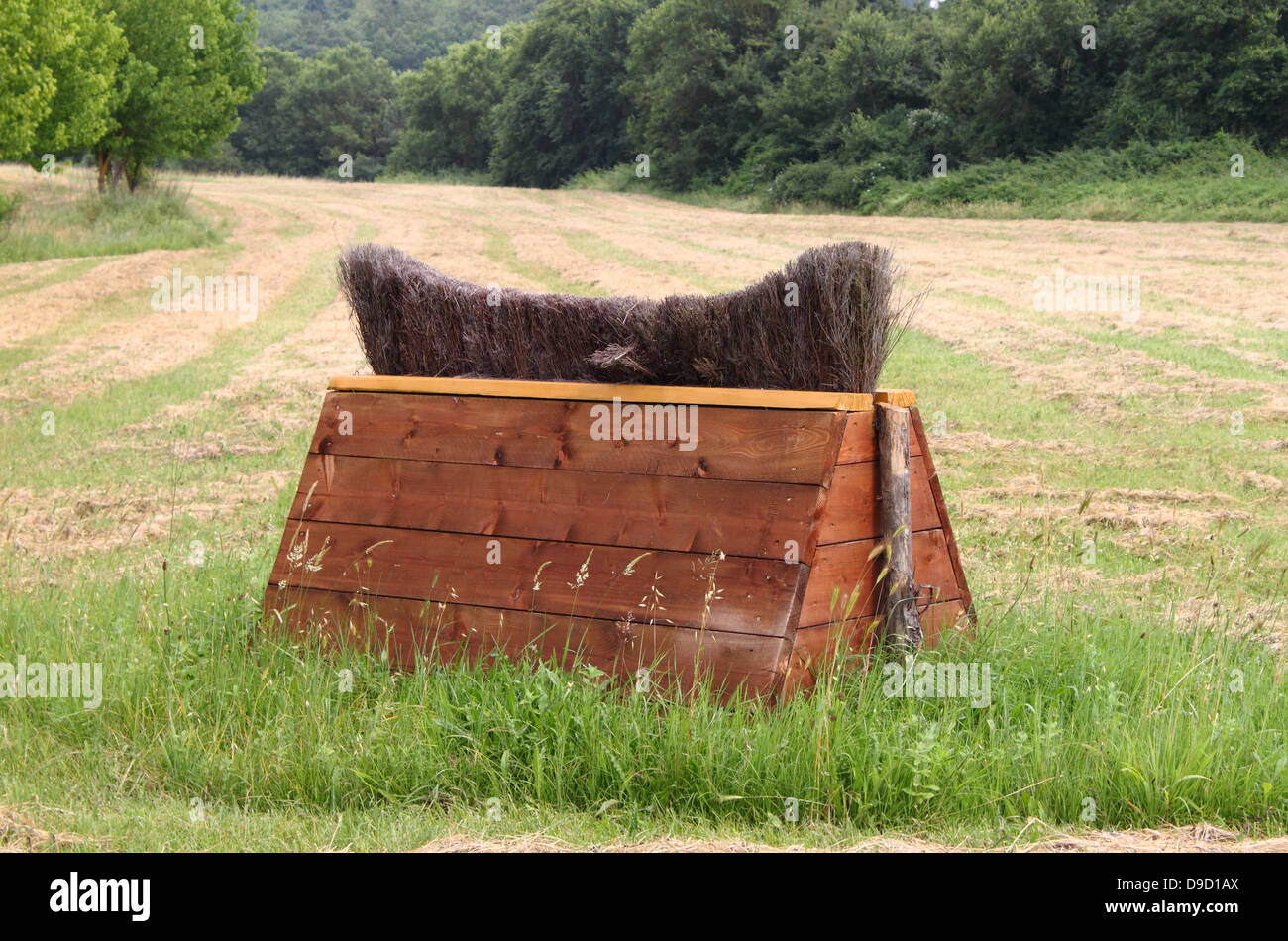Equitation obstacle at a show jumping contest Stock Photo - Alamy