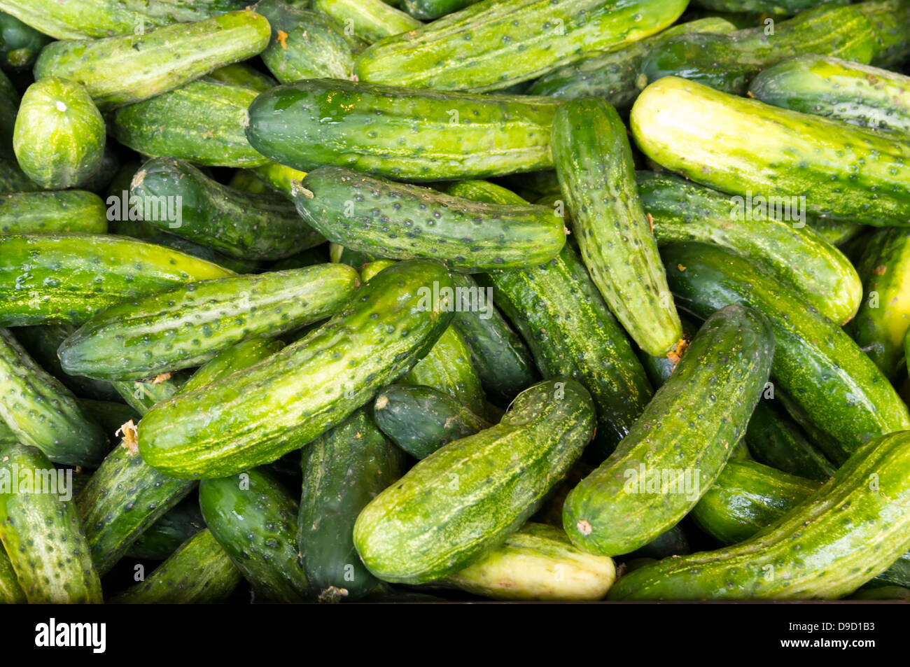 Pickles on display at the farmer's market Stock Photo - Alamy