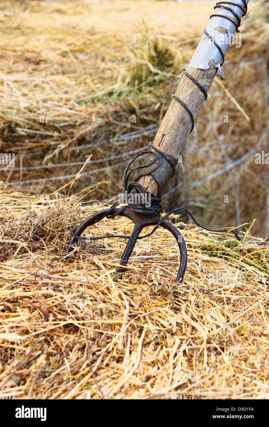 Hay bale with a hayfork Stock Photo - Alamy