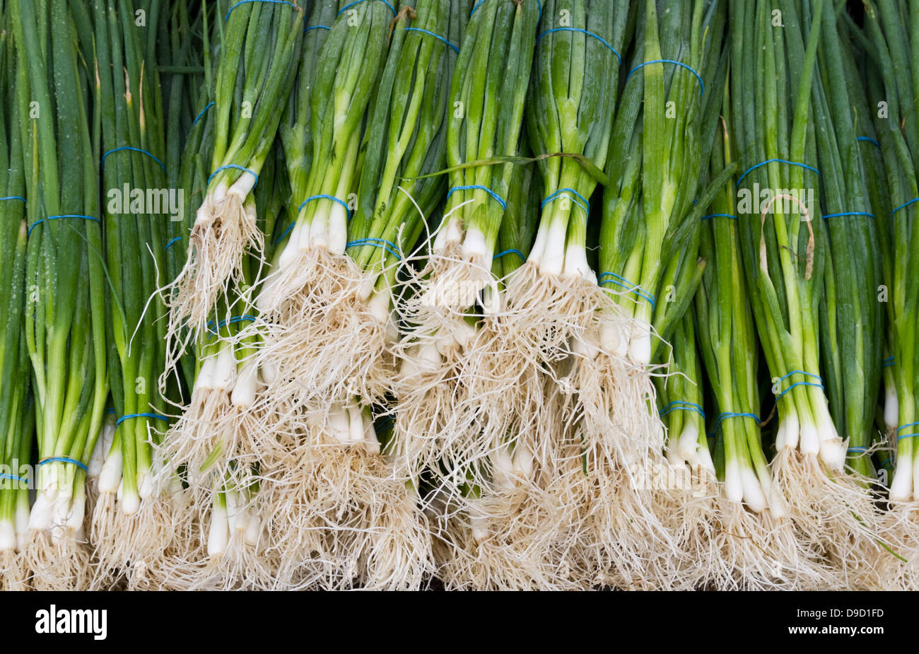 Scallions at farmers market hi-res stock photography and images - Alamy