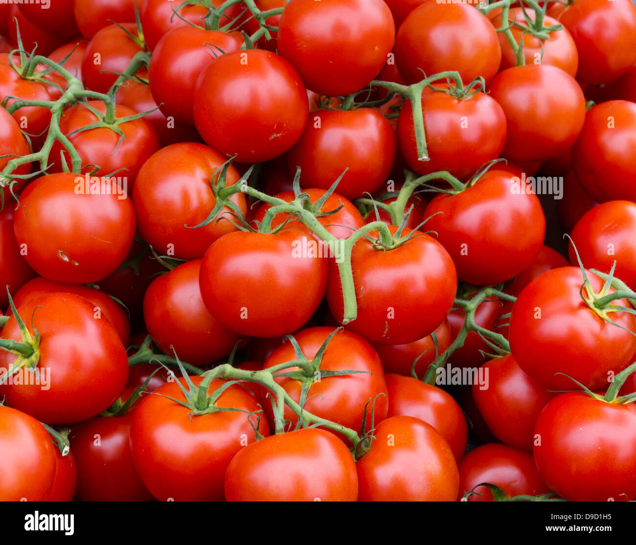 Fresh picked tomato clusters on display at the farmer's market Stock ...