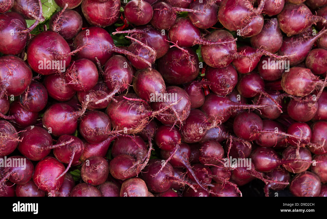 Freshly harvested red beets on display at the farmer's market Stock ...
