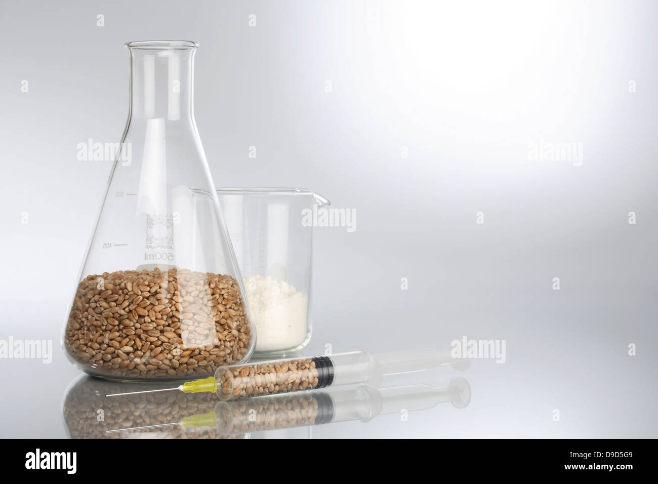 Wheat from the lab Stock Photo - Alamy