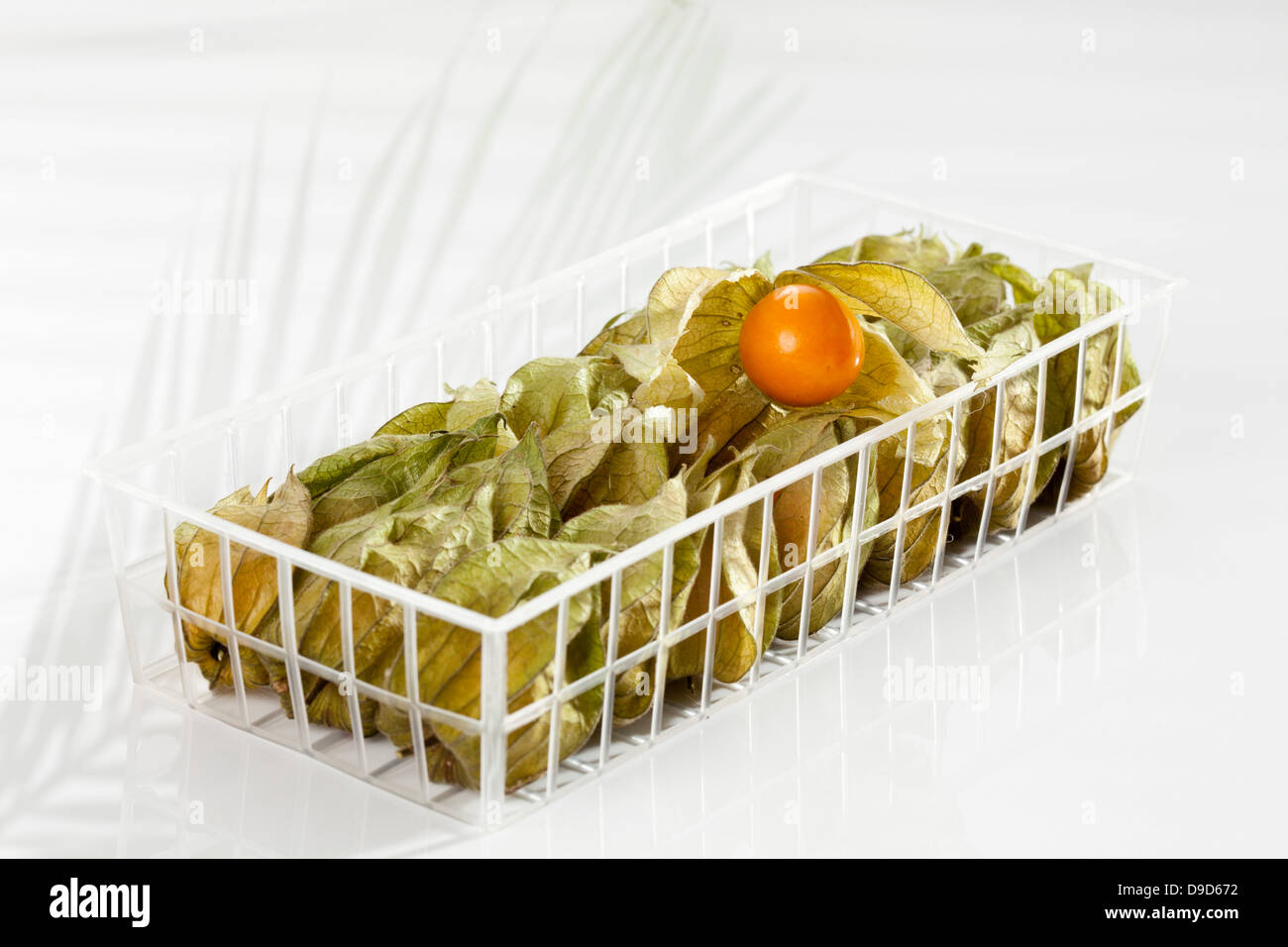 Physalis in plastic box, close up Stock Photo - Alamy