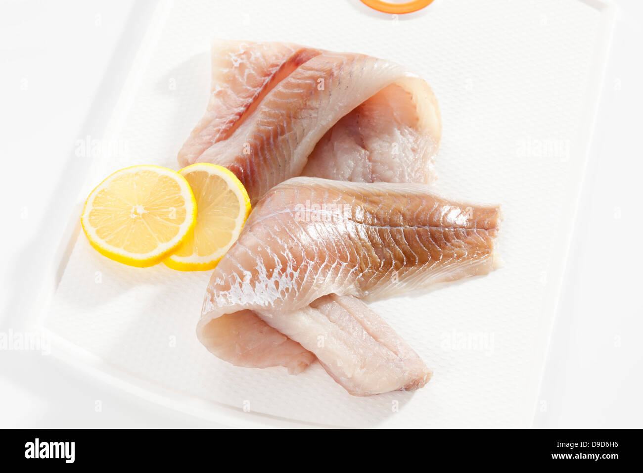 Pollock studio hi-res stock photography and images - Alamy