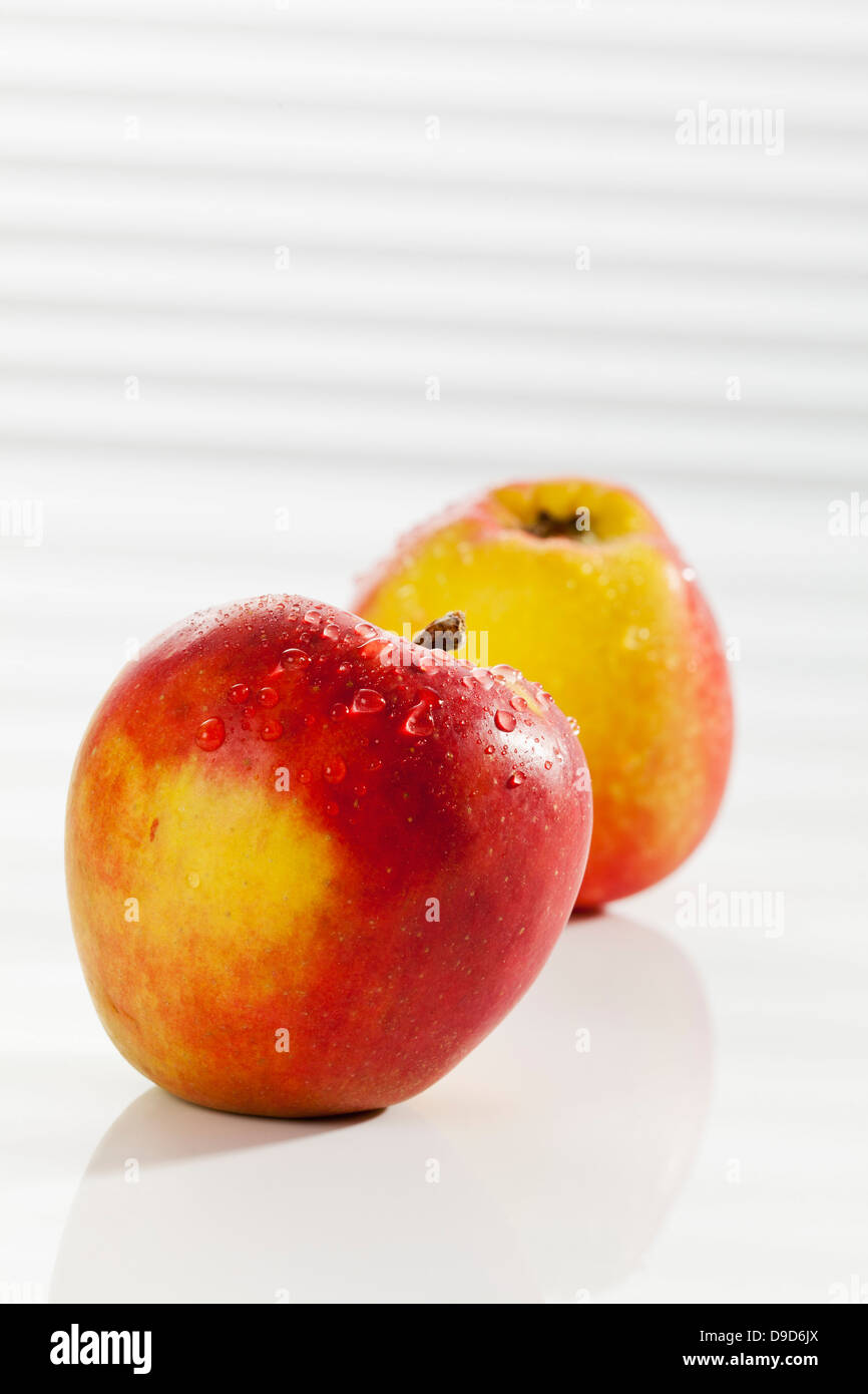 Elstar apple malus hi-res stock photography and images - Alamy